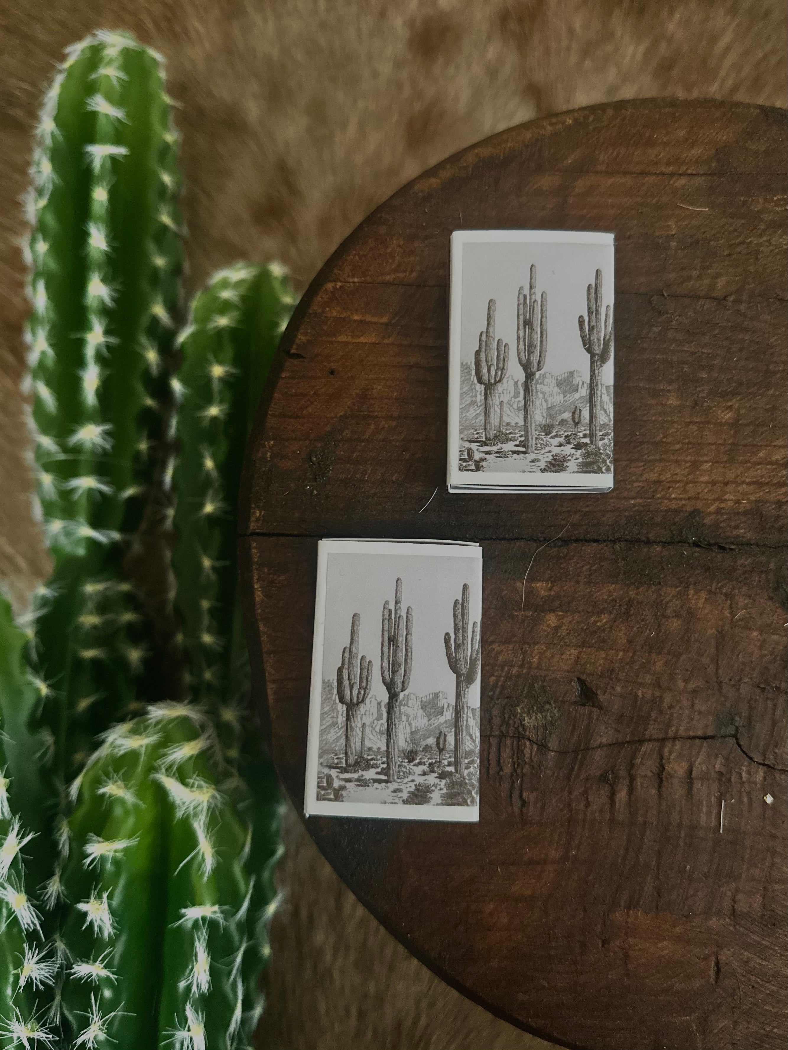 Desert Cactus Matches – Halo Darlin'